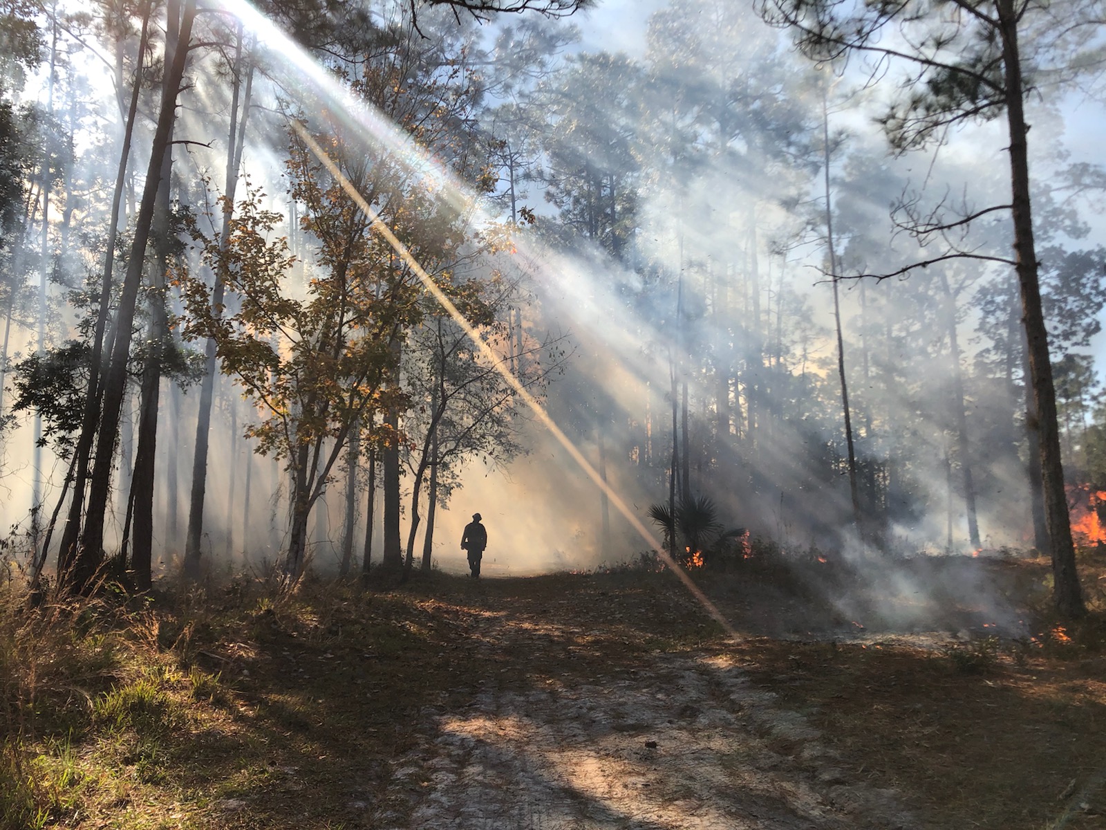 Central Florida Prescribed Fire Council